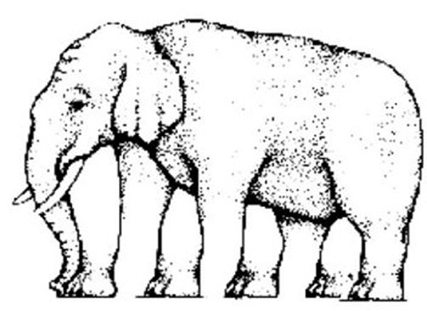 The Shepard elephant illusion | Life Is An Illusion